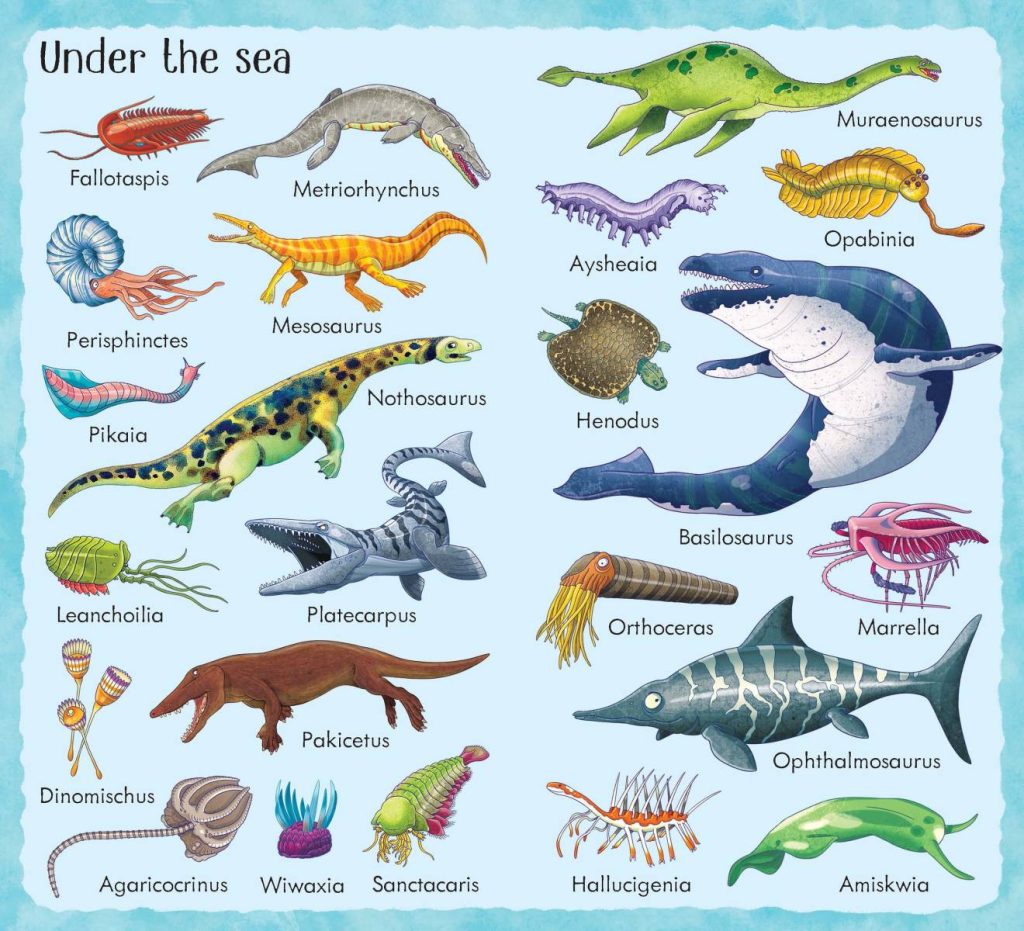 199 Dinosaurs and Prehistoric Animals - My Book Shop